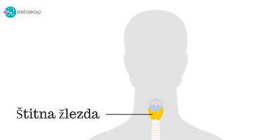 Sve o štitnoj žlezdi