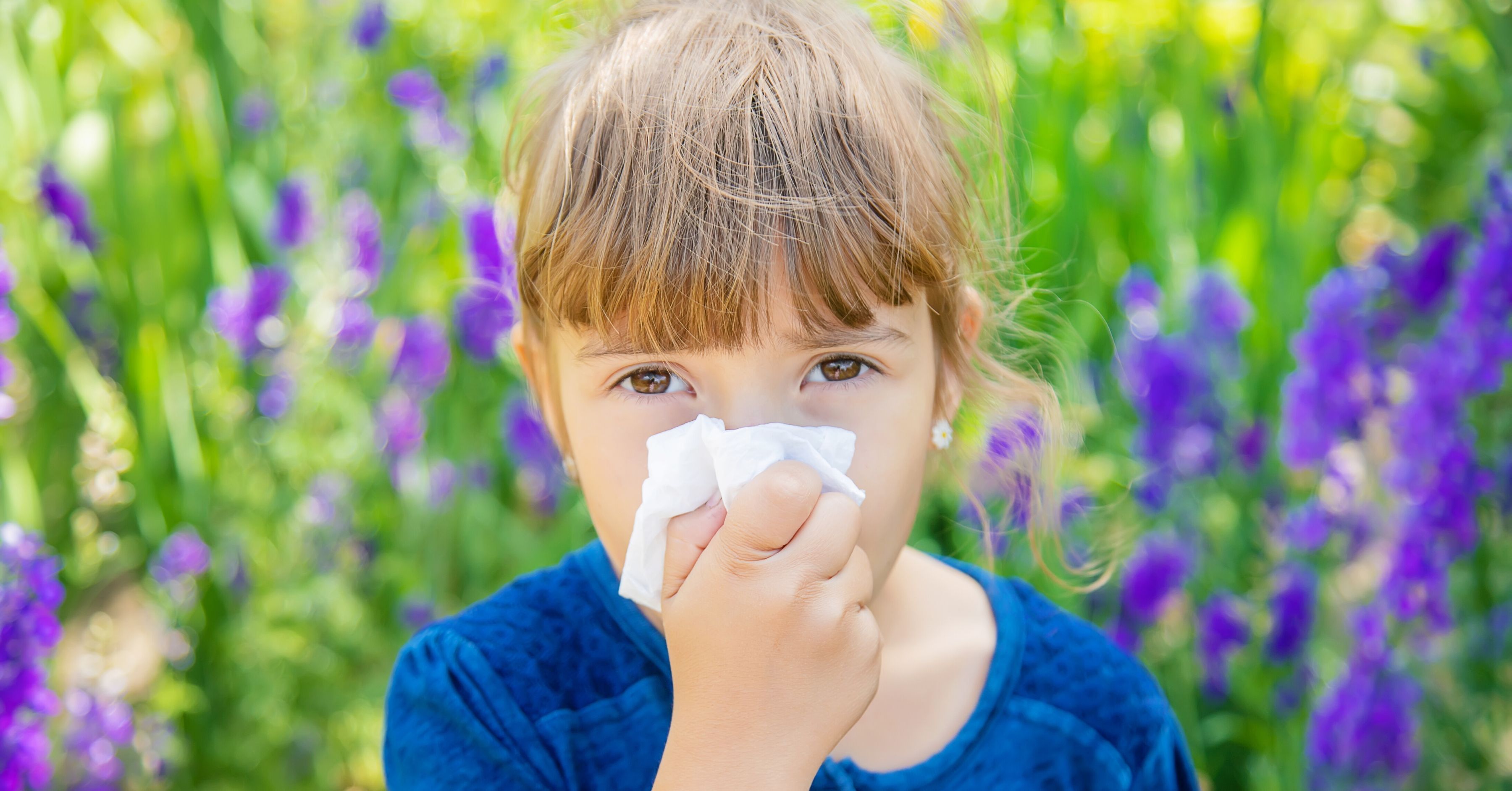 Alergije (Alergijske reakcije) - simptomi, lečenje, detalji