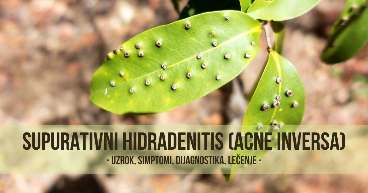 Supurativni hidradenitis (Hidradenitis suppurativa/Acne inversa ...