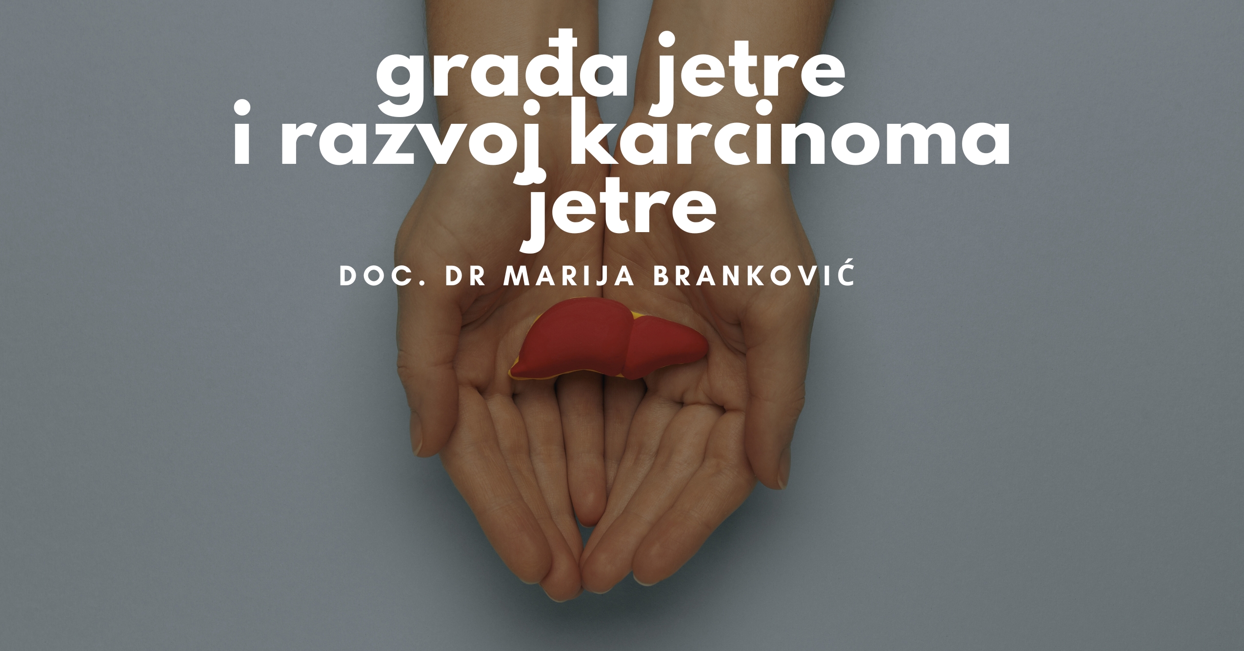 Građa jetre i razvoj karcinoma jetre